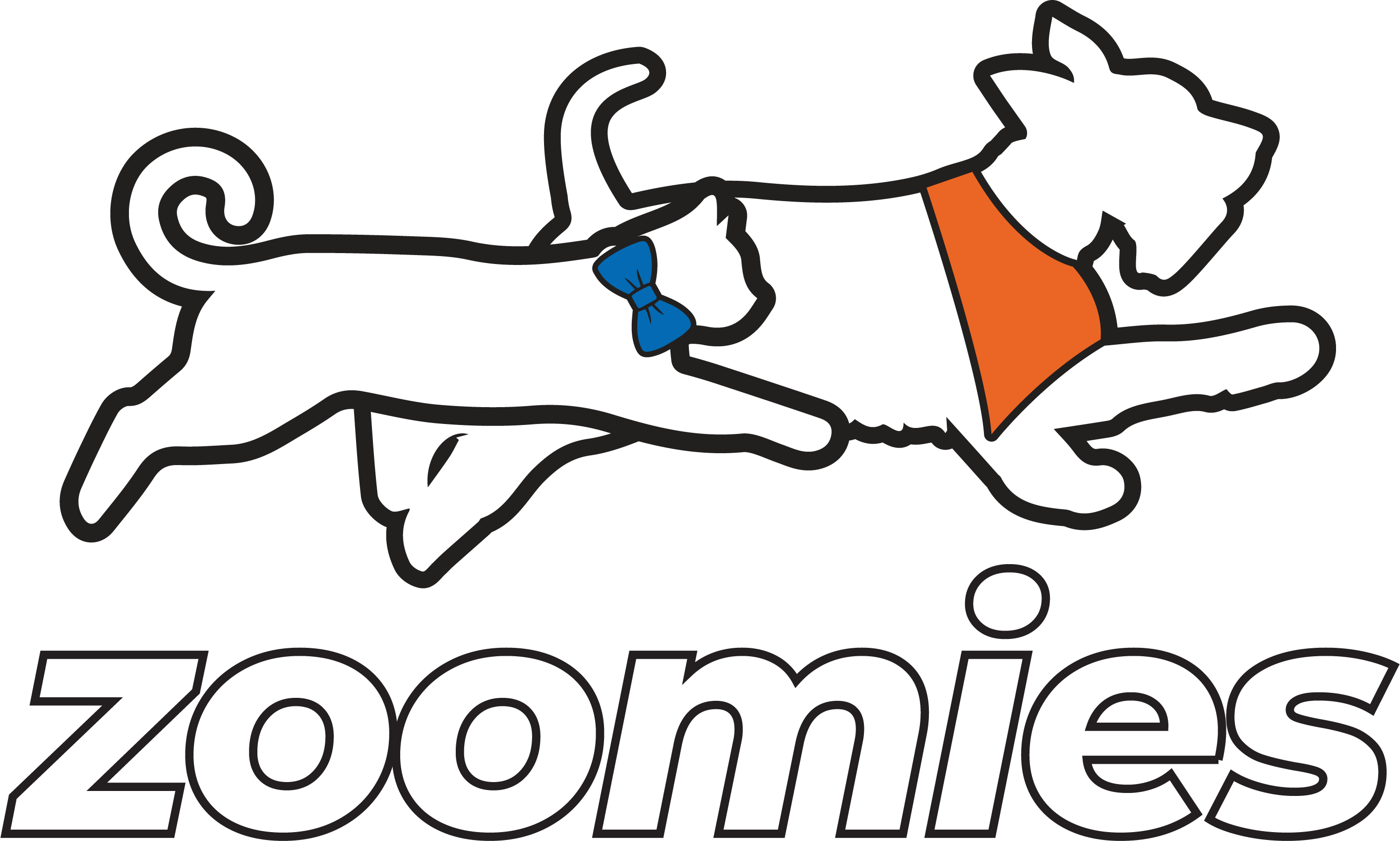 Zoomies – Pet Accessories